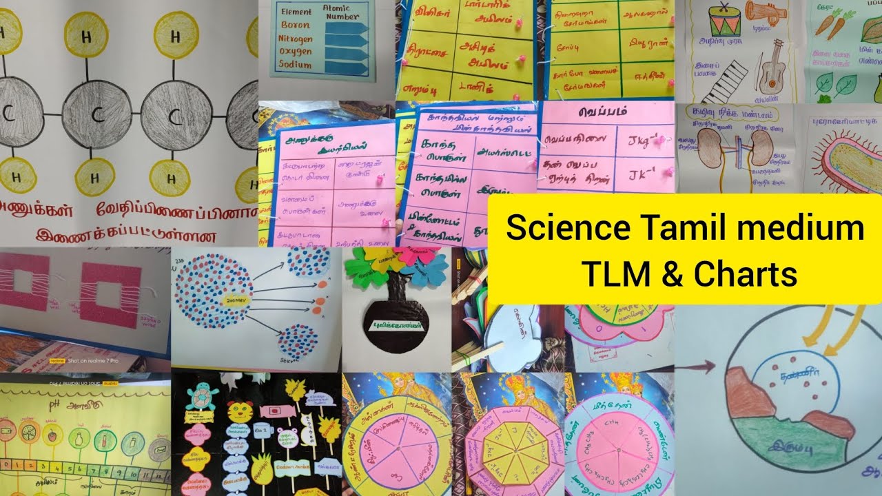 Science major tamilmedium chart & TLM ideas / orders are taken for TLM ...