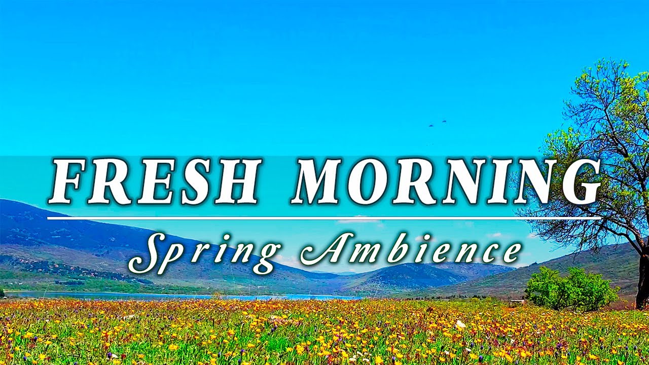 Relaxing Nature Ambience Meditation 🌾 Healing Sounds of SPRING MORNING ...