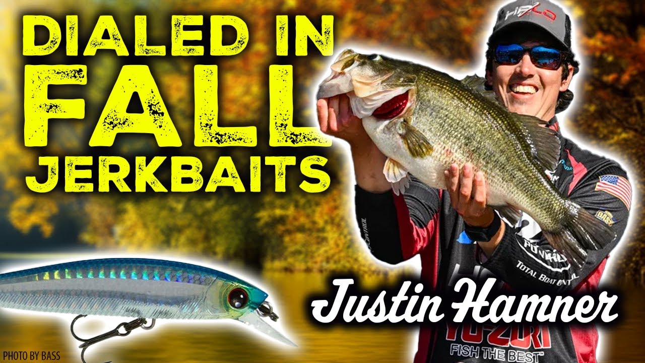 DIALED IN! Fall Jerkbait Bass Fishing - Bassmaster Classic Champ Justin ...