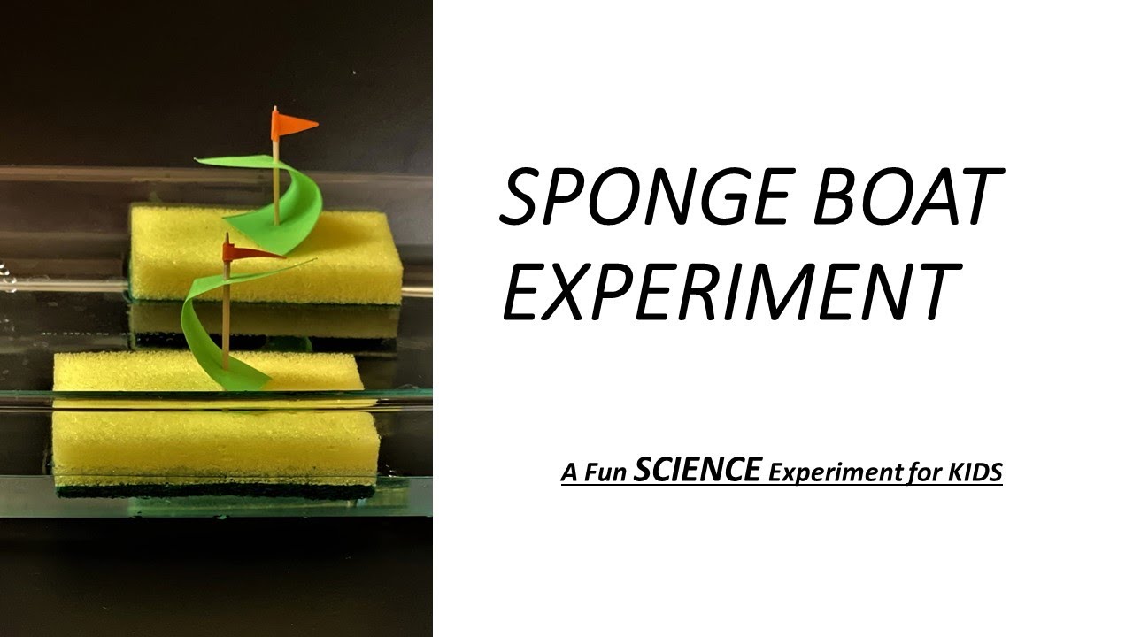 Sponge Boat Craft & Experiment-How to make sponge boat Experiment. Easy ...