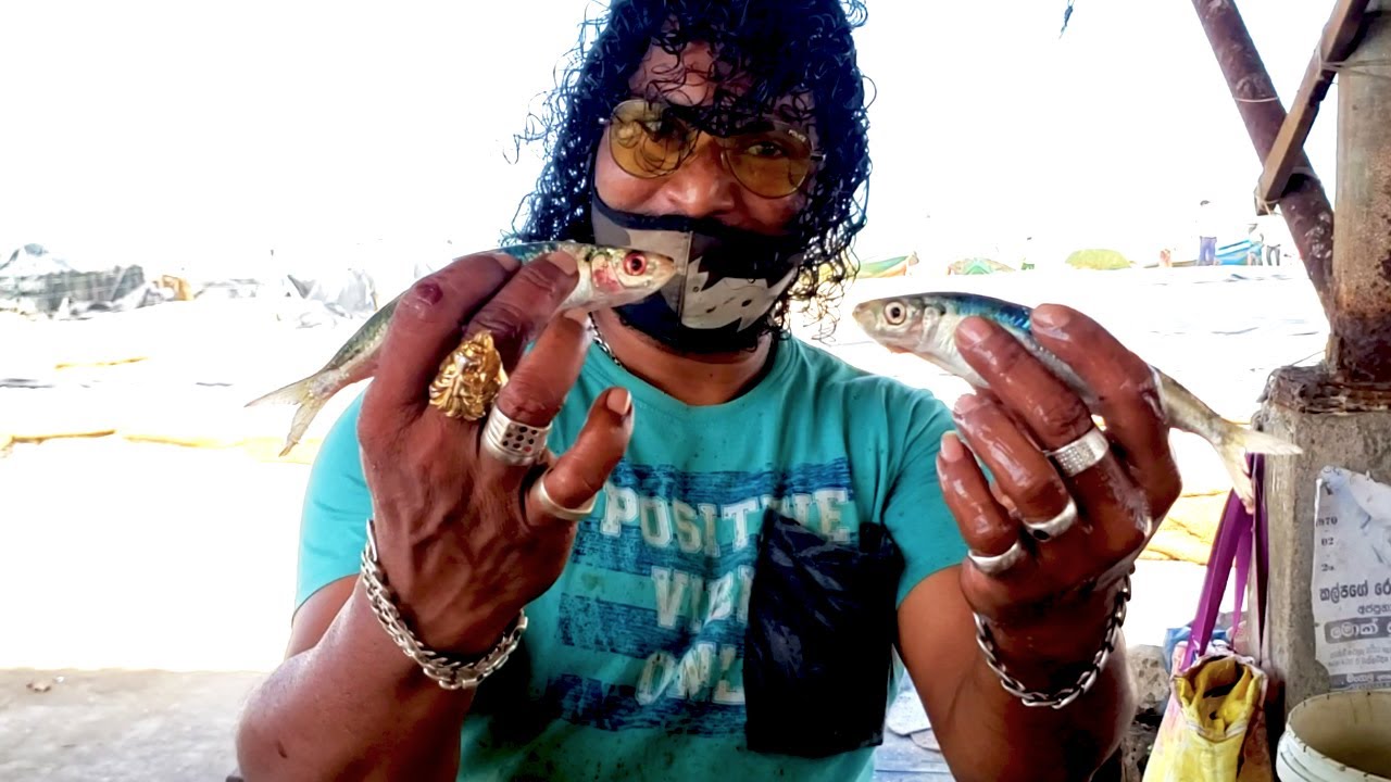 Trenched Sardinella Fish Cutting - YouTube