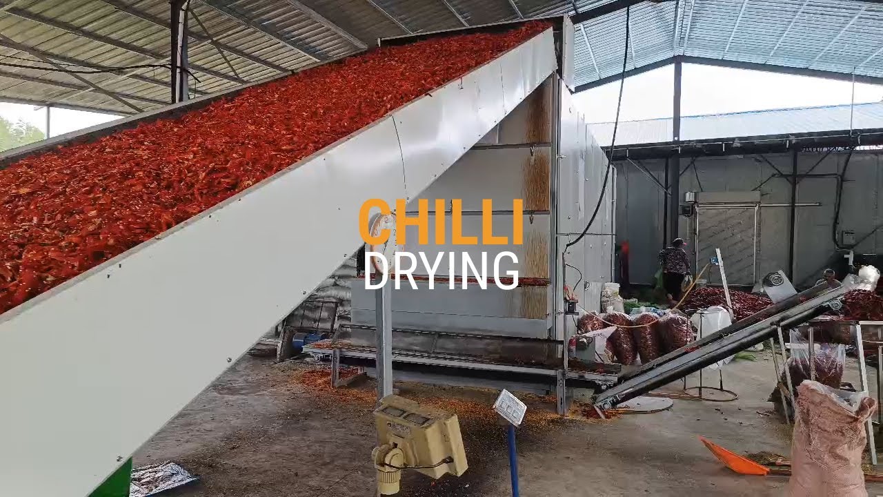 Chilli Continuous Drying machine - YouTube