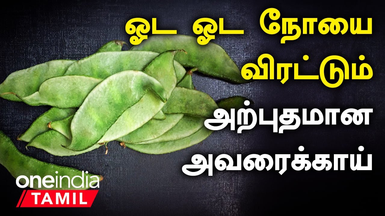 அடிக்கடி அவரைக்காய் சாப்பிட வேண்டுமா? ஏன்? | Avarakkai Health Benefits ...