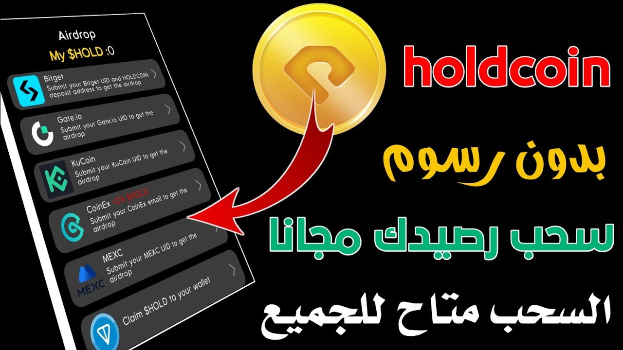 هام جدا للجميع 🔥 طريقة سحب رصيدك من بوت holdcoin مجانا للمنصات بدون رسوم - YouTube