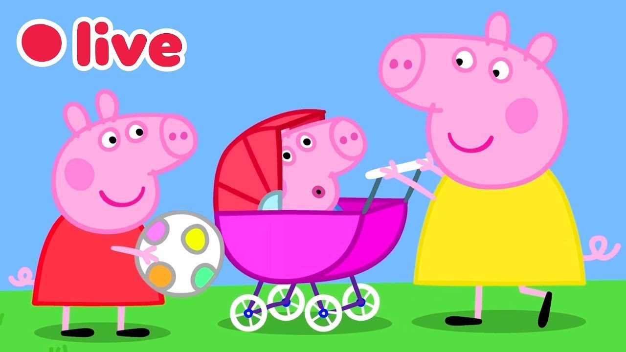 🔴 Peppa Pig EN VIVO! 🐷 Episodios Completos Caricaturas para Niños ...