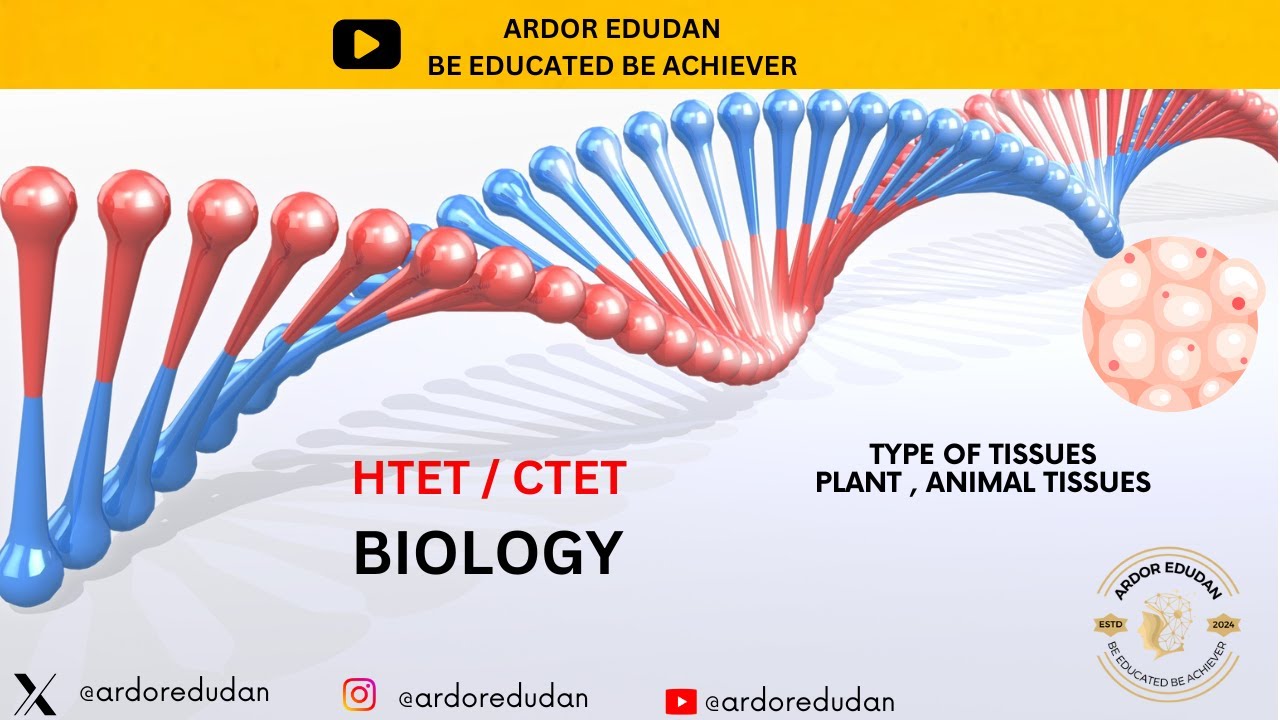 TYPE OF TISSUE | HTET TGT SCIENCE | CTET LEVEL -2 SCIENCE | BASIC ...
