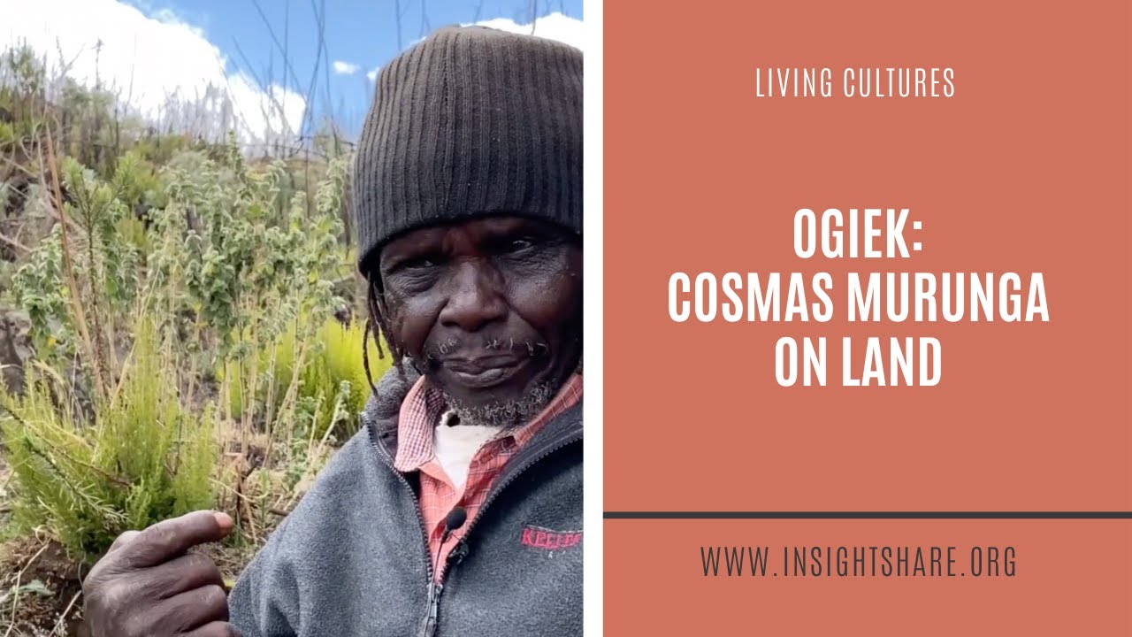 Ogiek, Kenya: On Land (conservation, evictions, and collective ...