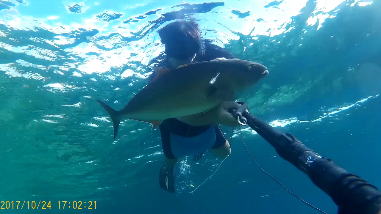 Spearfishing Amberjack @ Skyros 2017 / Ψαροντούφεκο, Μαγιάτικα, Σκύρος ...