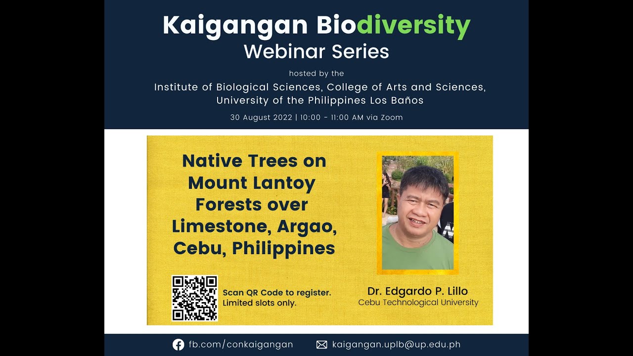 Native Trees in Mount Lantoy Key Biodiversity Area (KBA), Argao Cebu ...