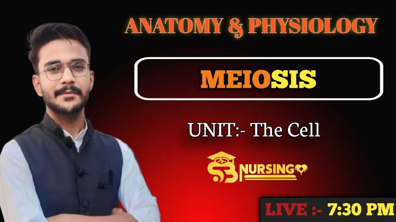 MEIOSIS / the cell cycle/ anatomy and physiology /sb nursing classes ...