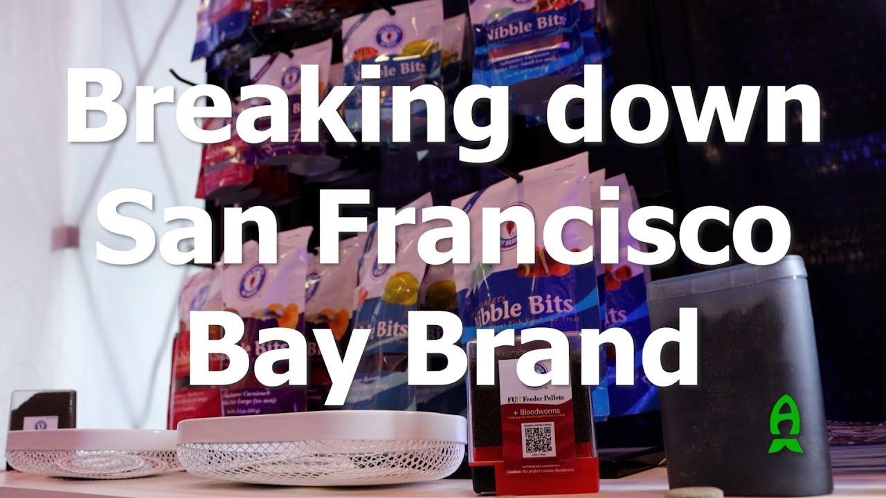 Breaking down the San Francisco Bay Brand revolution. - YouTube