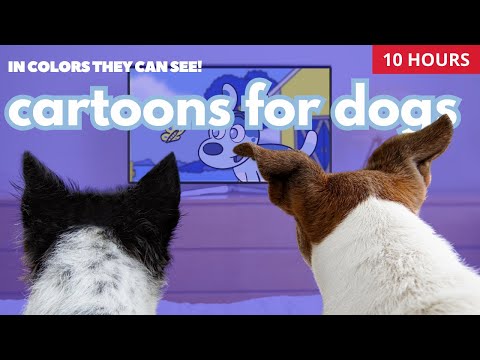 Blubey: Animated Cartoon for Dogs! Colors they can see - 10 Hours of fun and relax for dogs
