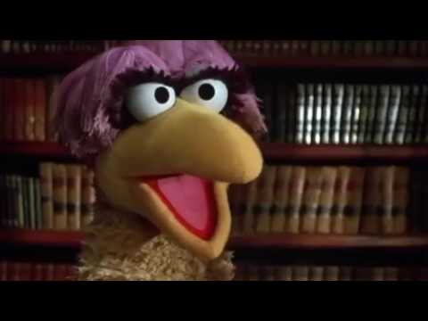 Follow That Bird Trailer (Fast Motion) - YouTube