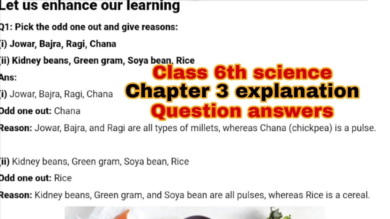 Mindful eating : A path to a healthy body | Class 6th science chapter 3 question answers - YouTube