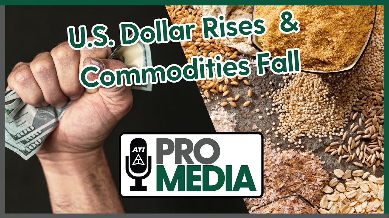 U.S. Dollar Rises & Commodities Fall - YouTube