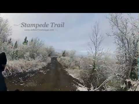 AK_002 - Stampede Trail / www.nelleterreselvagge.com - YouTube