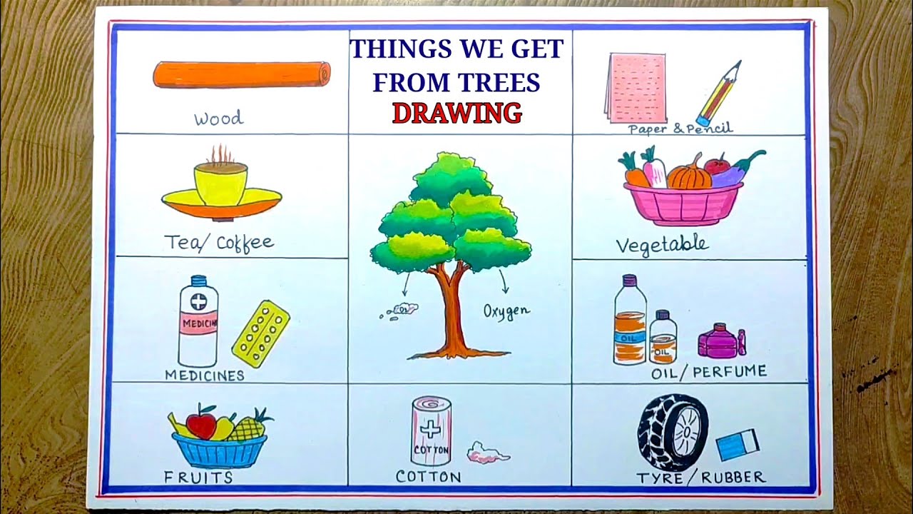 Draw things that we get from trees/Things we get from trees drawing ...