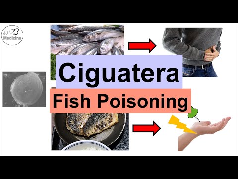 Why Does Seafood Give Me Diarrhea