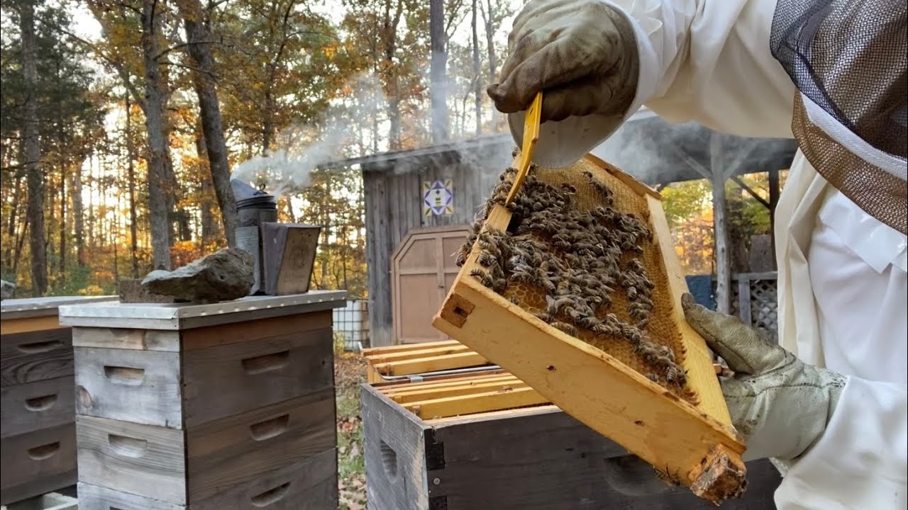 2021 Certified Naturally Grown Apiary Inspection - YouTube