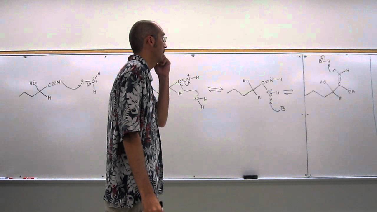Organic Mechanism - Cyanohydrin to alpha-Hydroxy Carboxylic Acid 001 ...