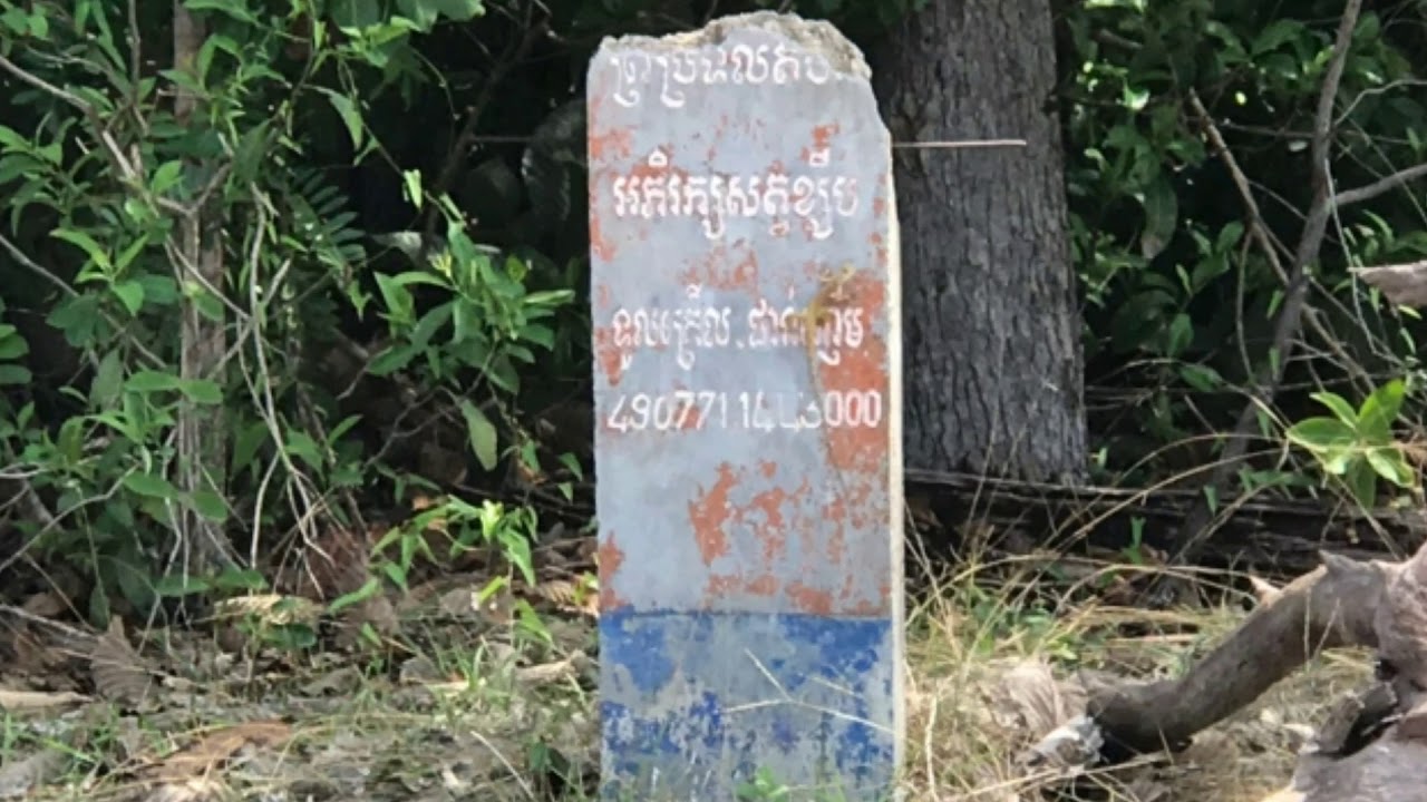 Bengal florican, conservation, Cambodia, - YouTube