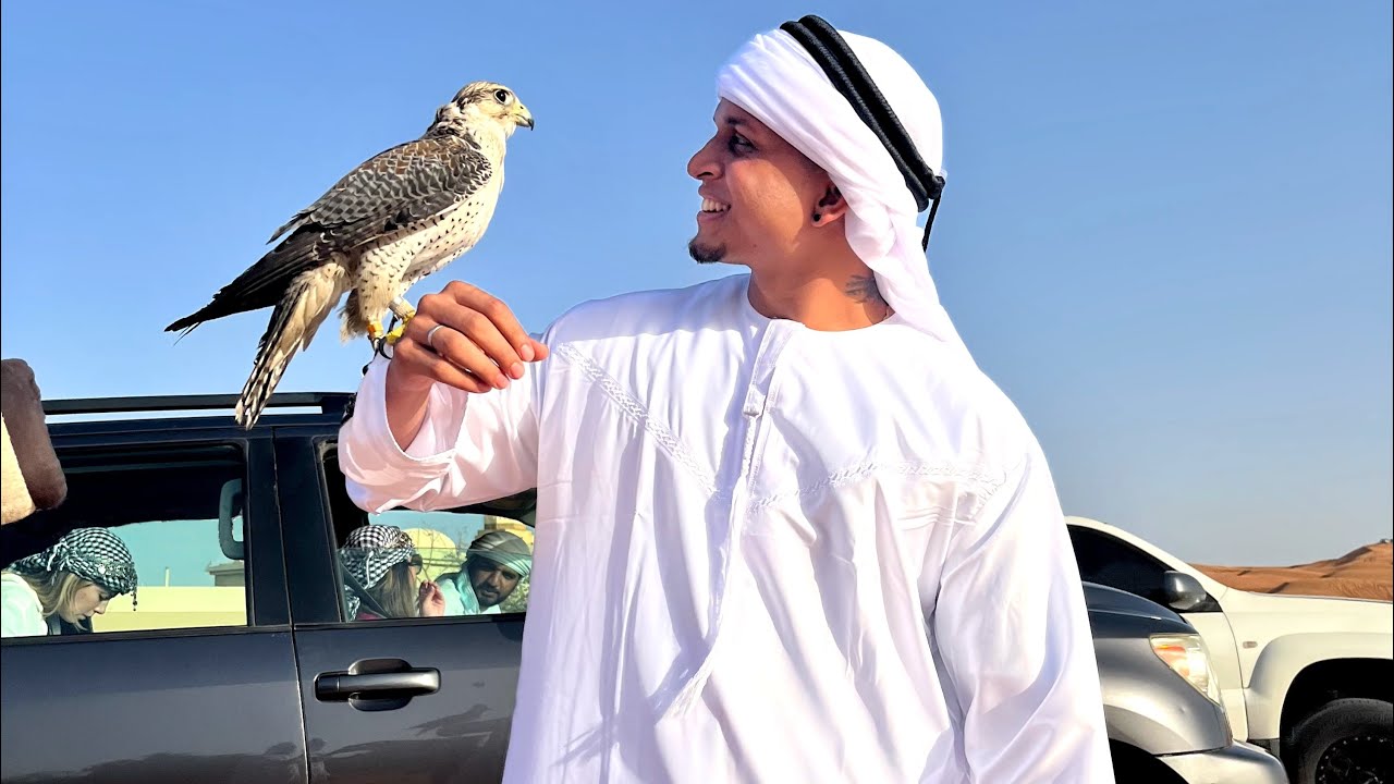 HABIBI COME TO DUBAI 🦅 - YouTube