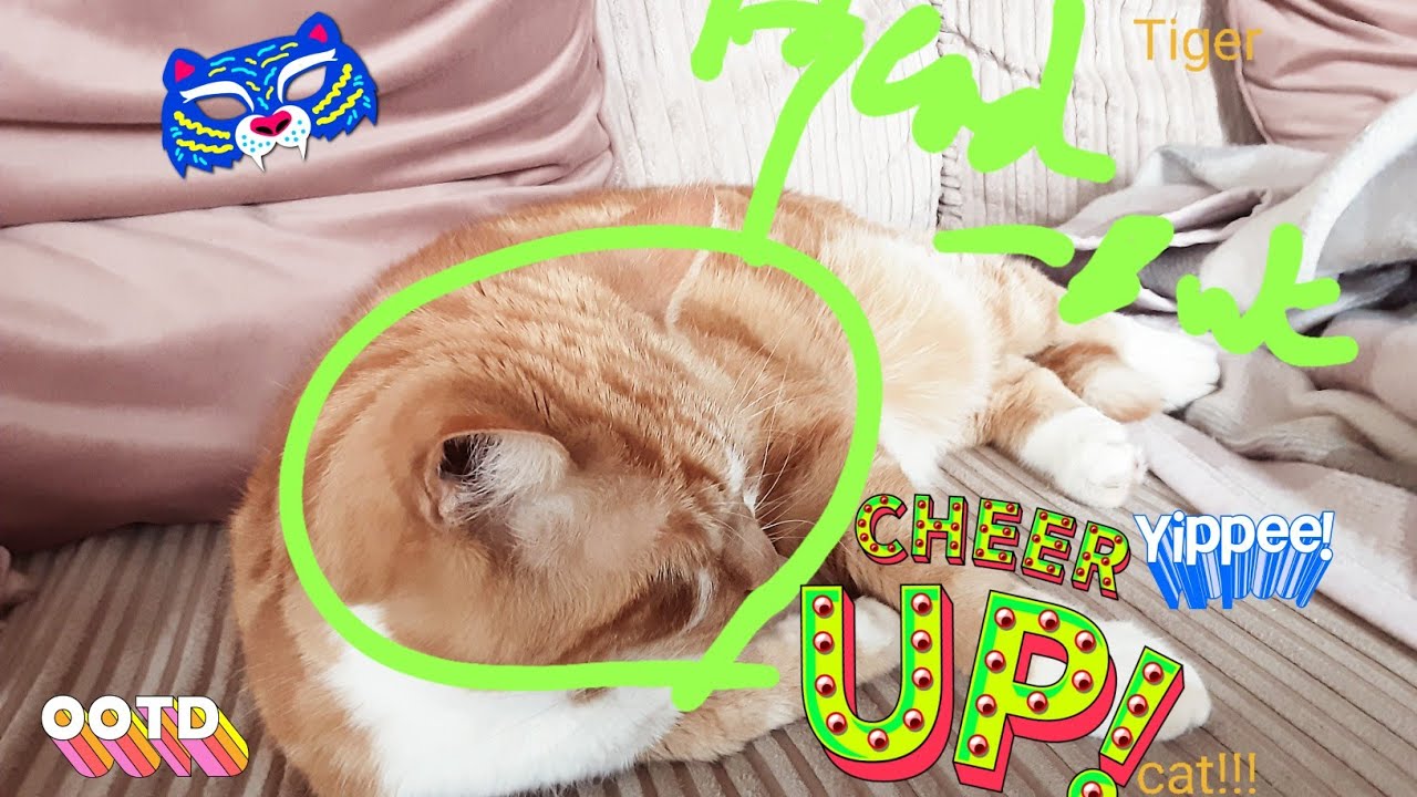 percy sleep song - YouTube