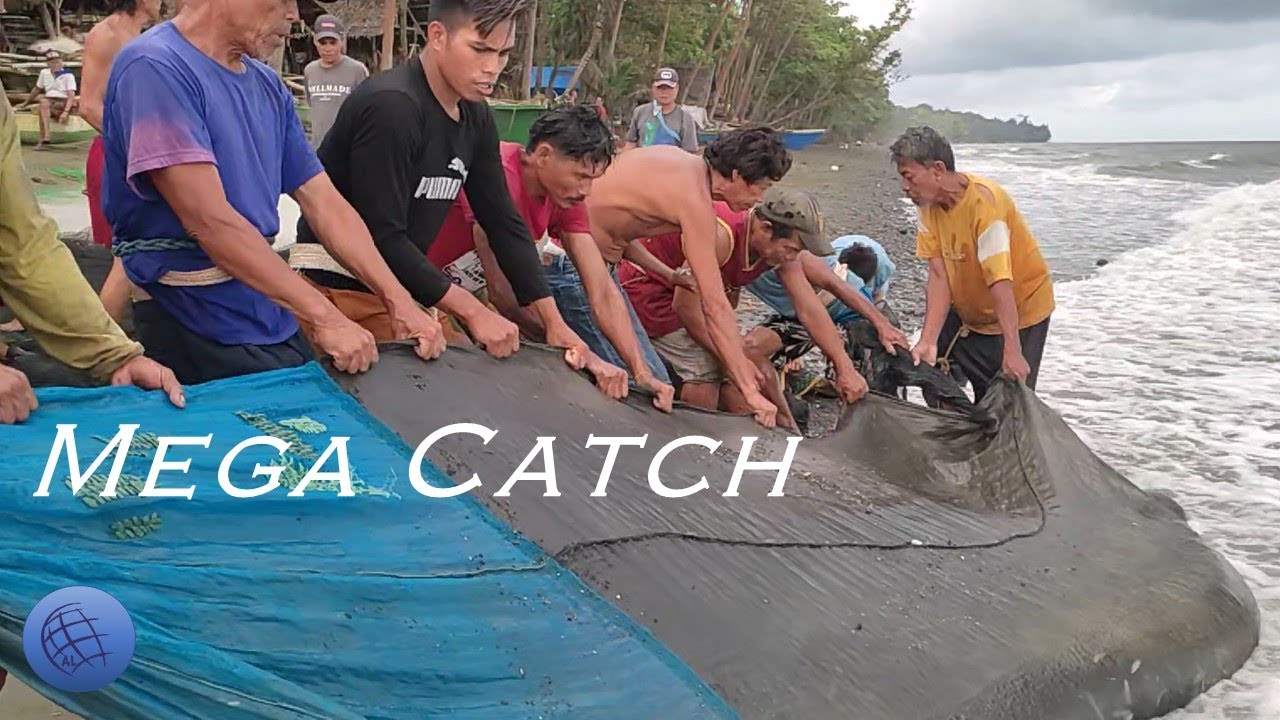 Great Catch with Net Fishing in Philippine Village - YouTube