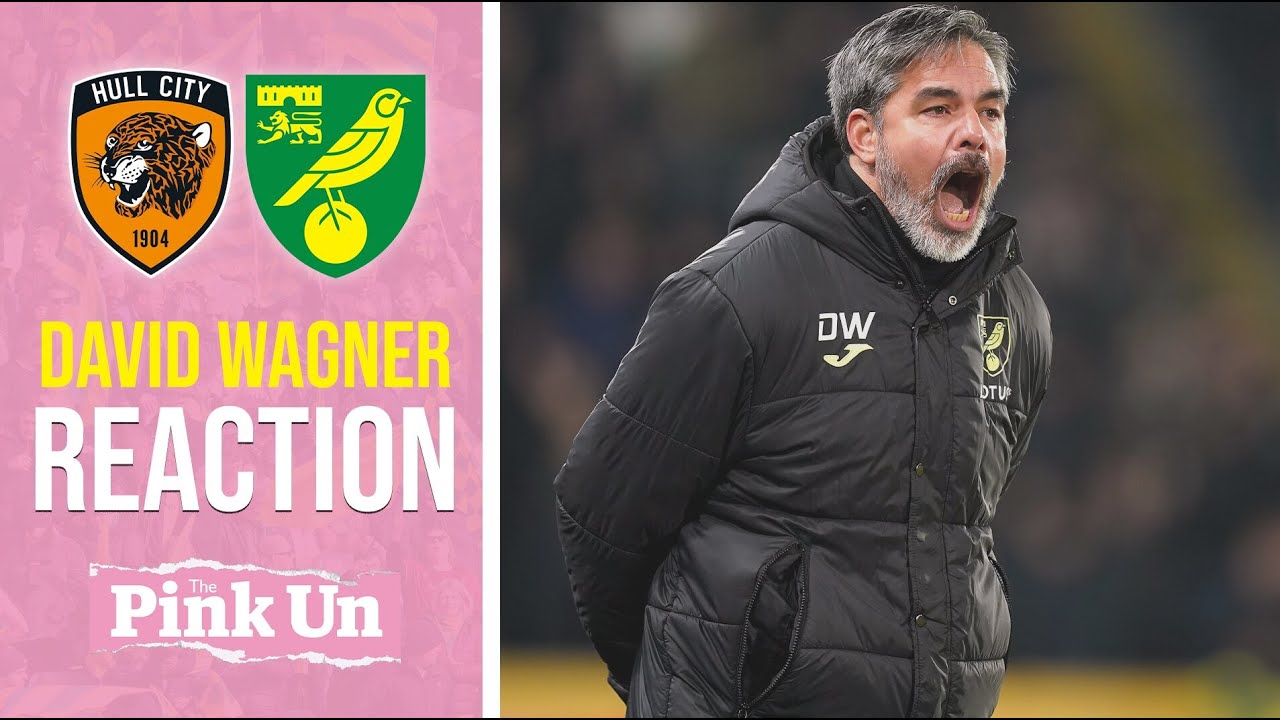 David Wagner Reaction | Hull City 1-2 Norwich City | The Pink Un - YouTube