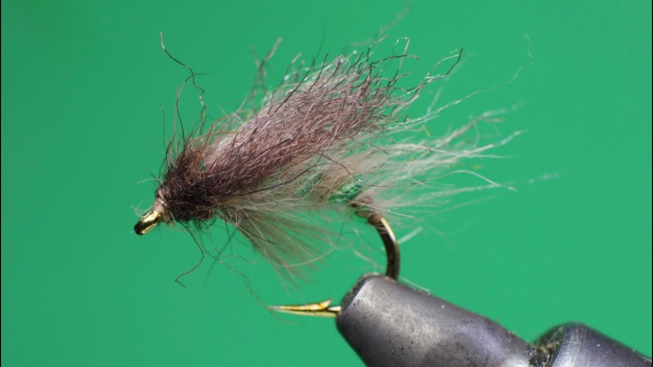 BRUSHED ANTRON CADDIS PUPA - FLY TYING TUTORIAL - YouTube