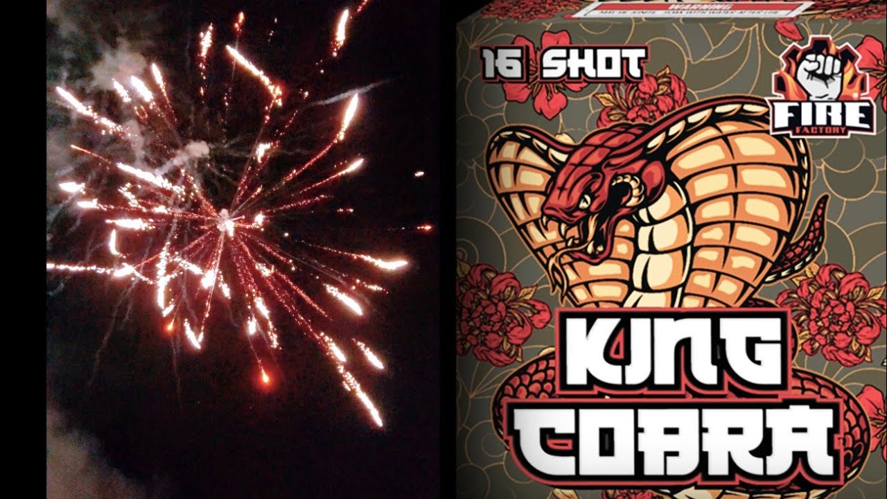 King Cobra 16 Shot 200g Cake with Swimming Stars by Fire Factory # ...