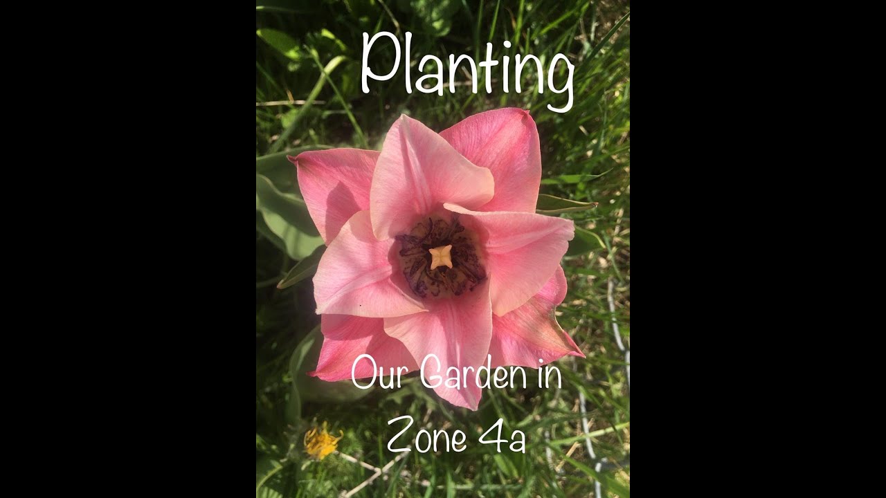 Starting Our Zone 4a Garden - YouTube