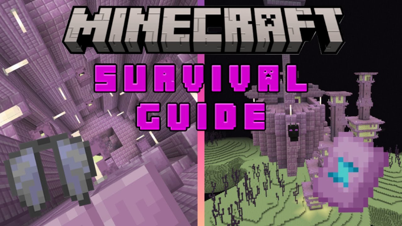 The Ultimate Minecraft Challenge: Collecting 100 Elytra in 10 Hours ...