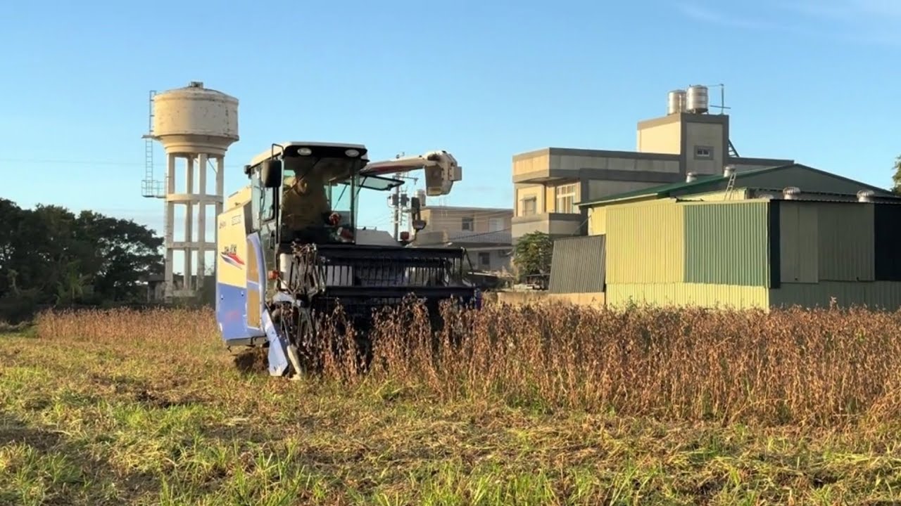 Japani harvester I Dhan katai machine I Harvester machine I Dhan ...