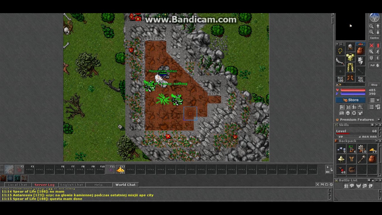 wasp tower rookgaard tibia candia - YouTube