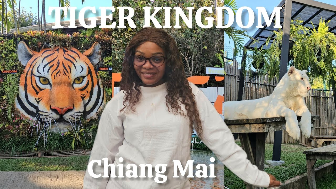 KENYAN FAMILY & GIANT TIGERS in CHIANG MAI 🇹🇭 | TIGER KINGDOM | 4K ...