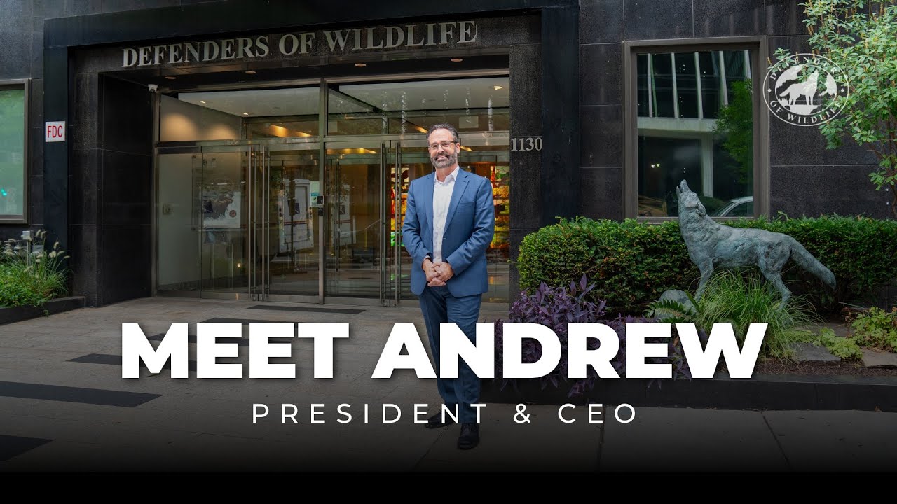 Meet Andrew - YouTube