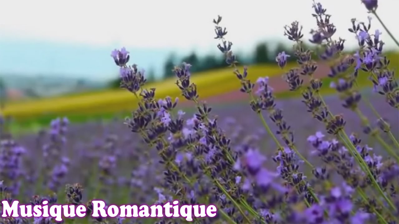 Musique Instrumentale Romantique ♥ Musique instrumentale pour la ...