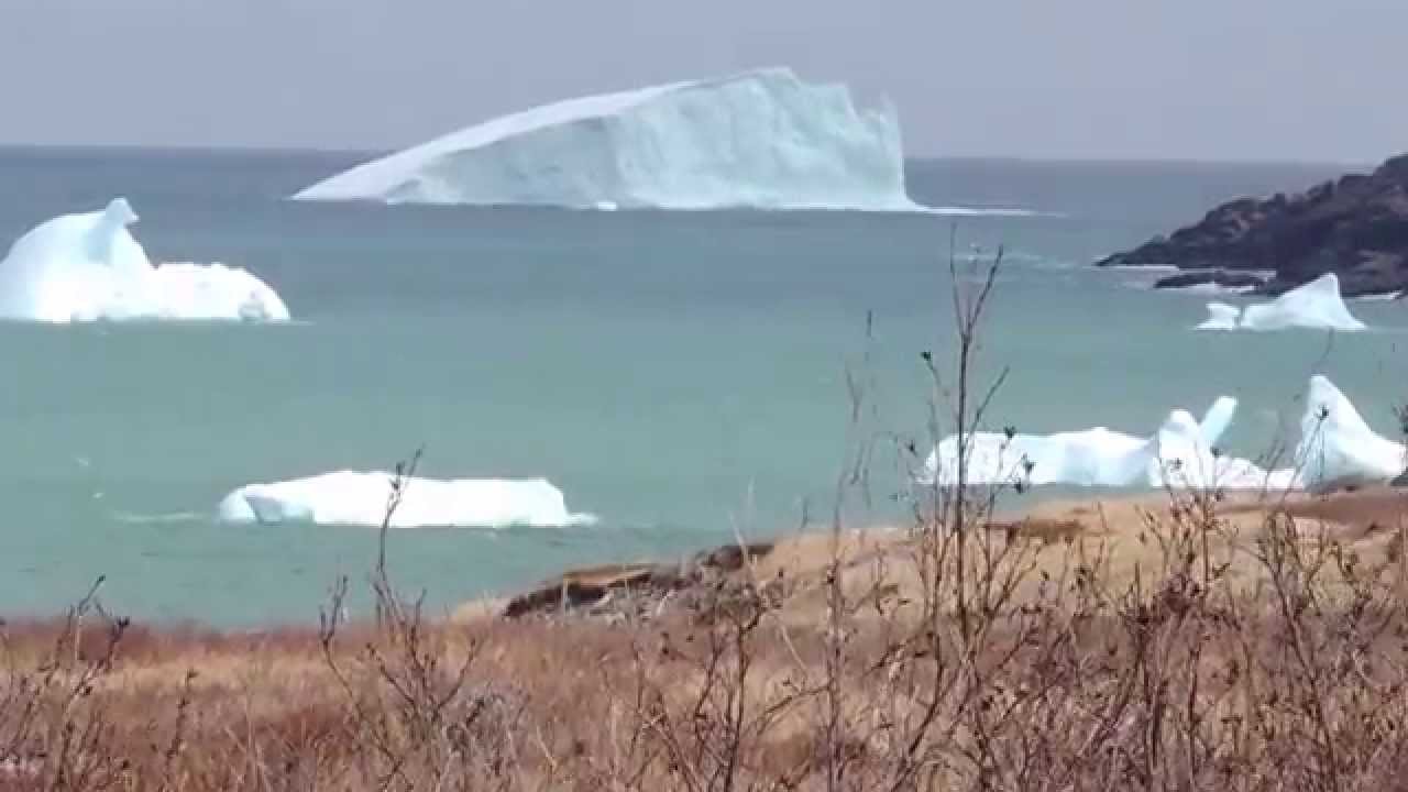 Icebergs in Newfoundland 2014 - YouTube