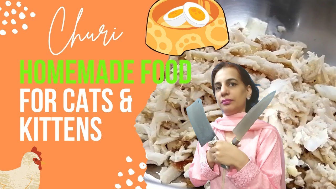 Churi: Homemade Food for Cats / Kittens - YouTube