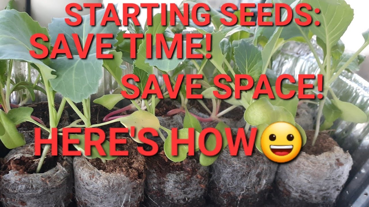 What To Plant Now-3rd Week of Spring | Planting Tool Explained - YouTube