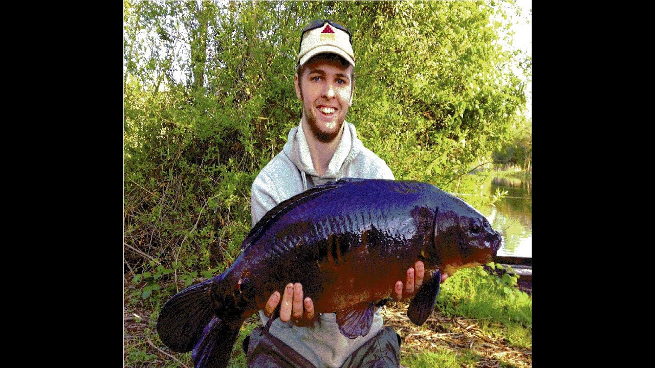 CarefulCarping, Episode 28, First 20lb Carp + New PB Common! - YouTube