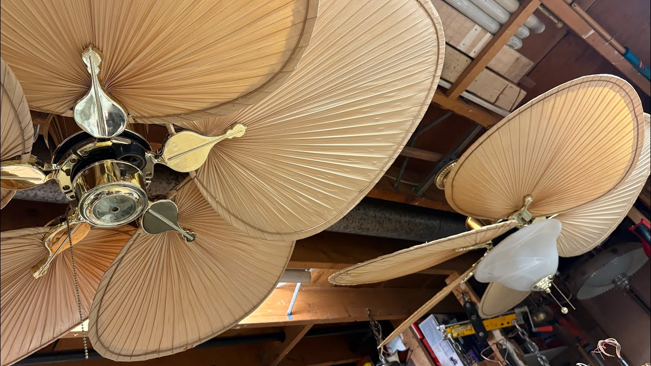 Fanimation Islander 52" Ceiling Fans Revisited - YouTube