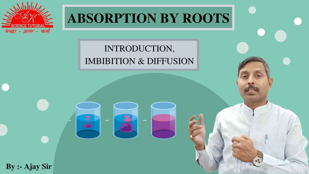 Absorption By Root - 1 | CLASS 10 | BIOLOGY | Introduction, Imbibition ...