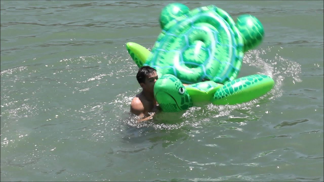 Flipping out with a Turtle Teaser Trailer - YouTube