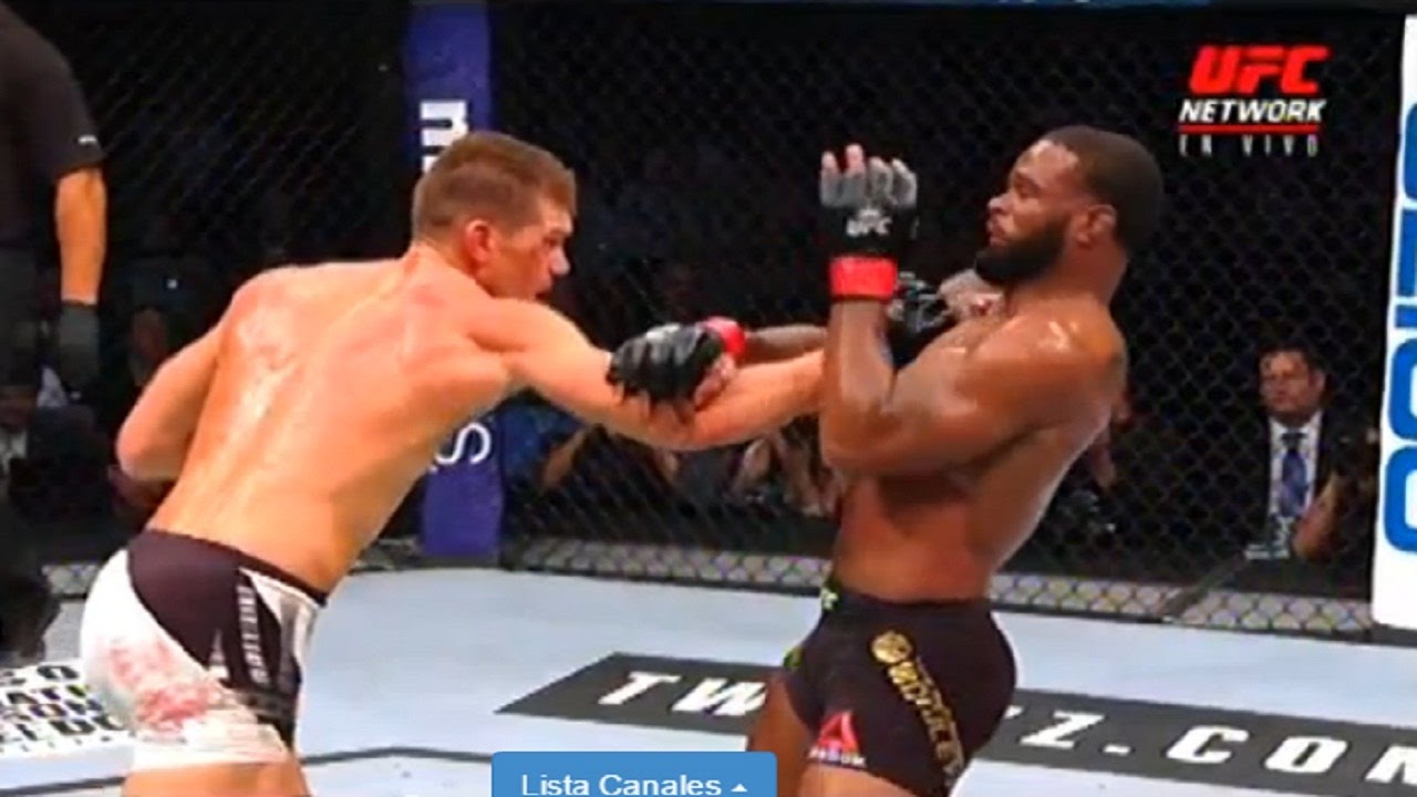 Tyron Woodley VS Stephen Thompson - Highlights - UFC 205 - (Simulacion ...