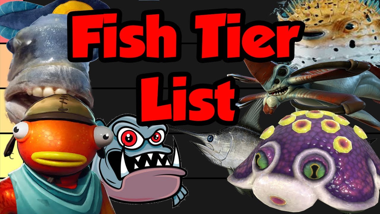 FISH TIER LIST!!! - YouTube