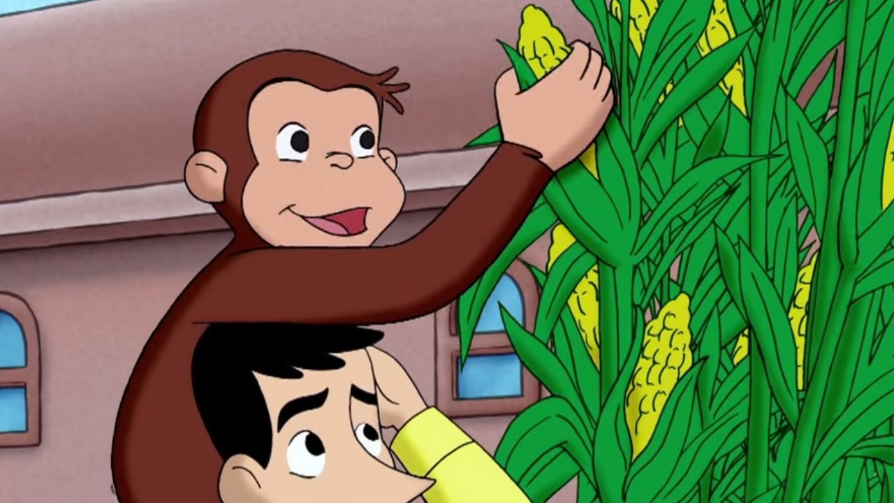 Jorge el Curioso en Español 🐵 Problema de Semillas 🐵Mono Jorge 🐵 ...