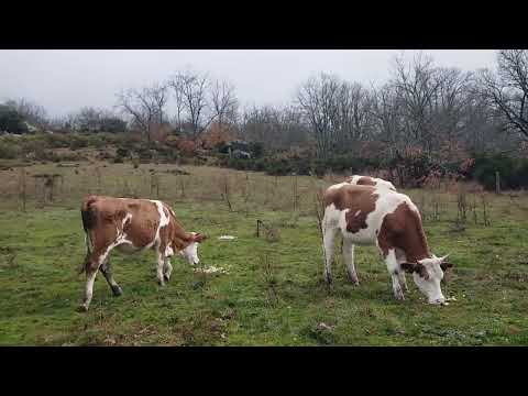 Video rapidito que se le dedico a nuestra amiga Clara Eugenia 🫂 - YouTube