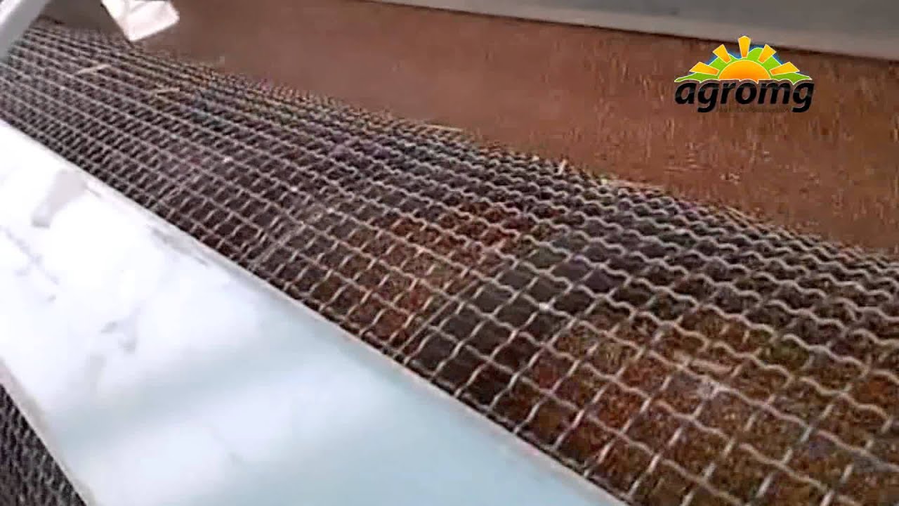 Limpiadora de Sorgo SCALPER de Carter Day, de Gran Capacidad - YouTube